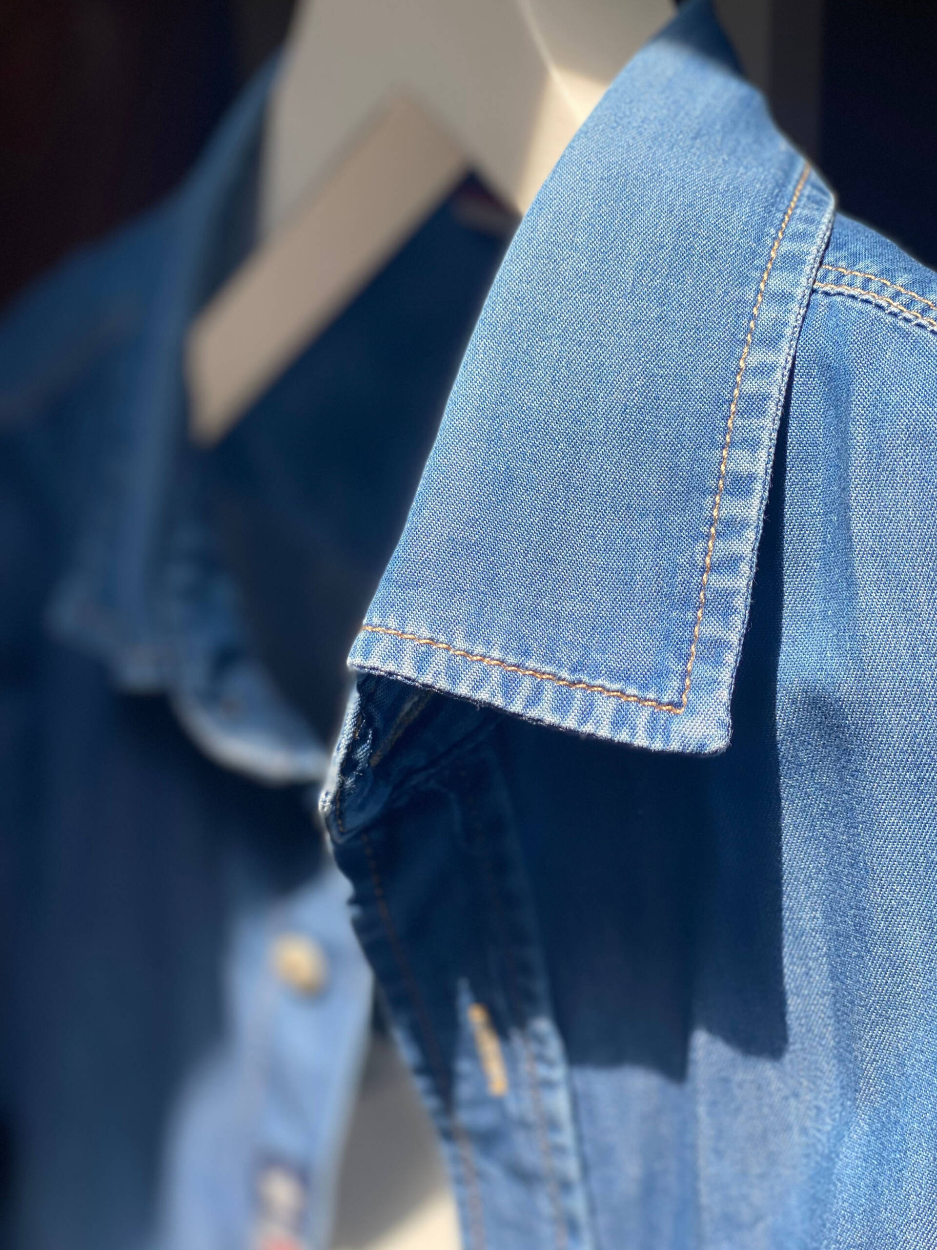 Shirts - Sedy Studios